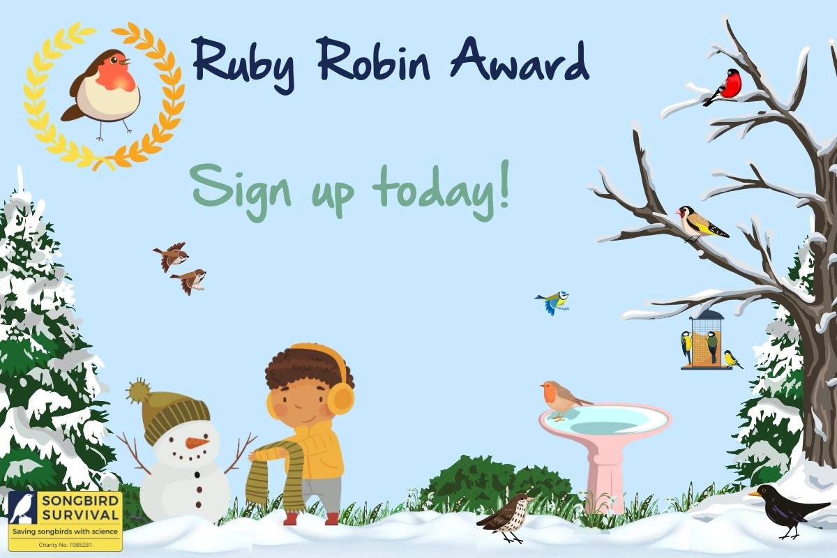 Ruby Robin Award - Sign up